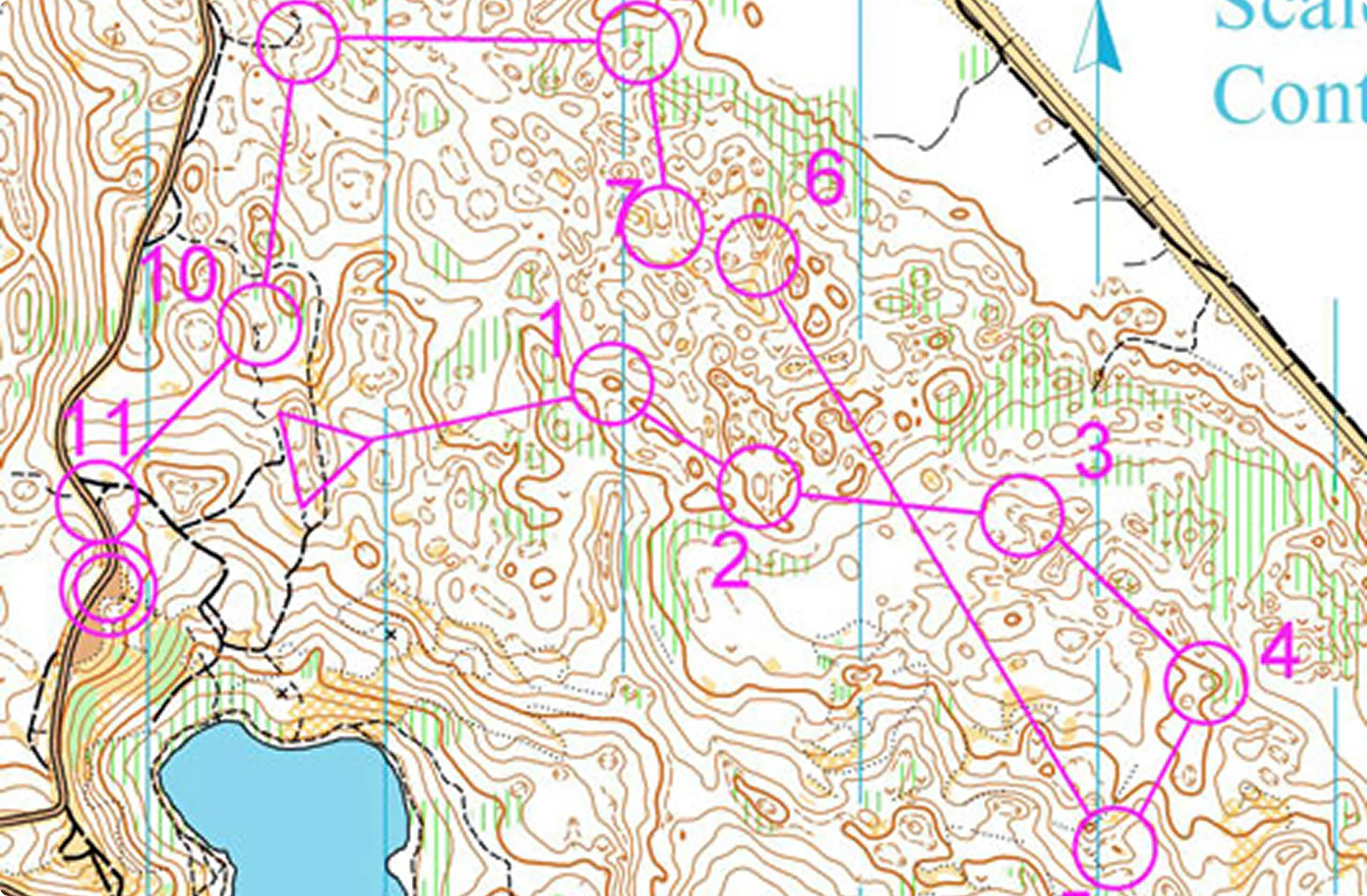 What is orienteering | Yukon Orienteering Association